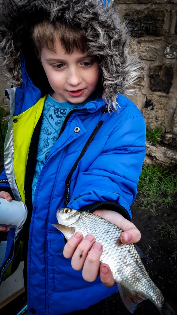 Silver Fishing: 3 Essential Tactics & Why We Love Catching Silvers