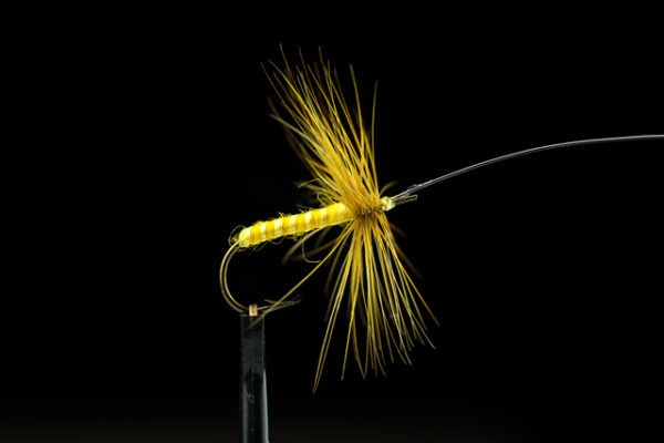 Wet Fly Fishing: The Insider Guide - Fishing Discoveries