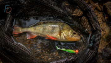 Perch Jig Setup: Quick Guide with Diagrams, Tips & Tactical Choices