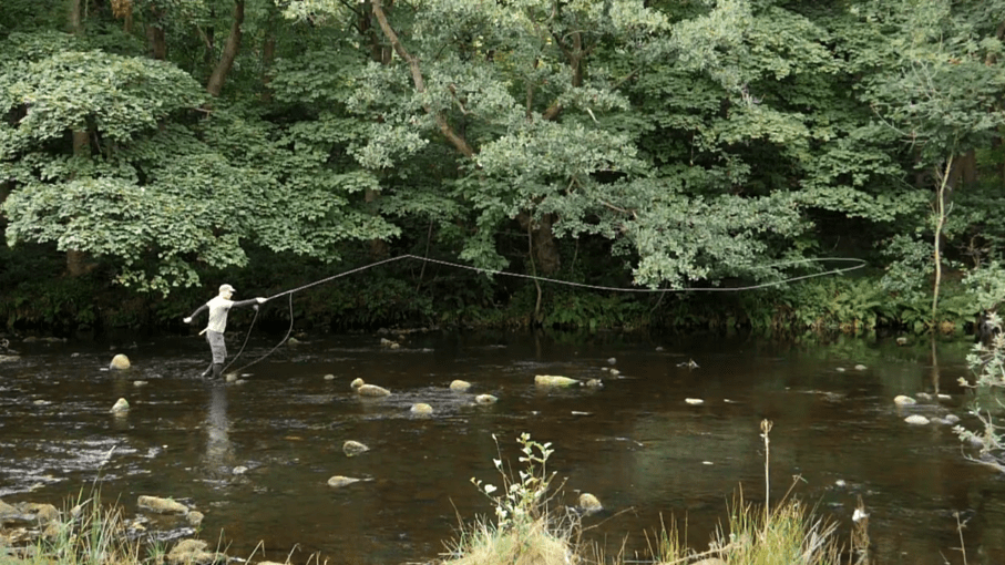 How to Cast a Fishing Rod: Foolproof Guide for Baitcaster, Spin & Fly