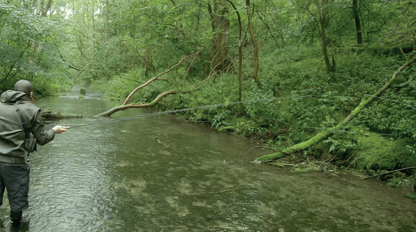 Side-cast Under Canopy – Fishing Discoveries
