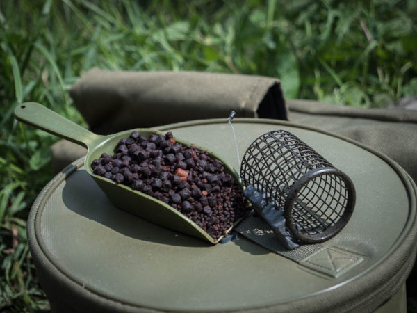 Barbel Fishing: FD’s Ultimate Guide to Rigs, Tactics, Baits & Gear